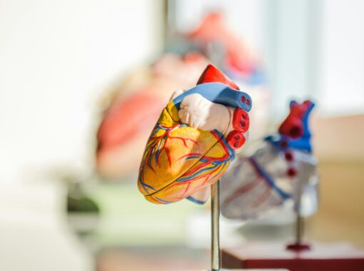 Dr. Jose Jacob | Invasive Cardiology Expert